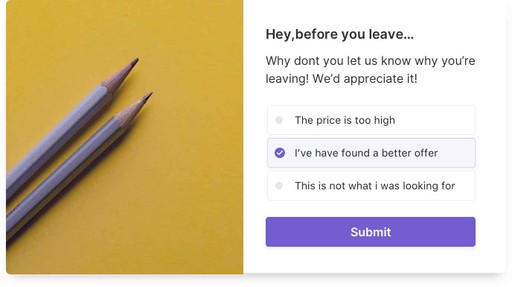 Best Pop-up Design Examples