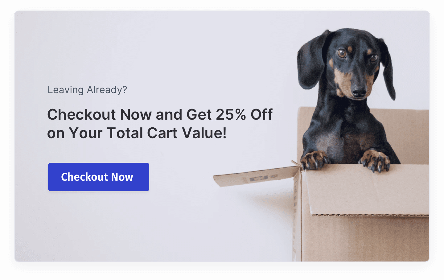 Best Pop-up Design Examples